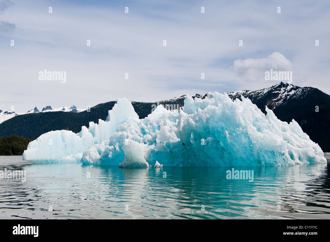 Alaska. Glacier blue ice iceberg in LeConte Bay, Southeast Alaska Stock ...
