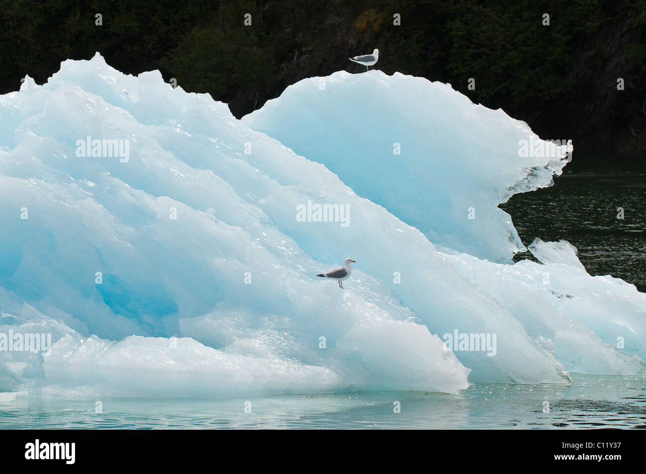 Glacier blue ice iceberg in LeConte Bay, Southeast Alaska Stock Photo ...