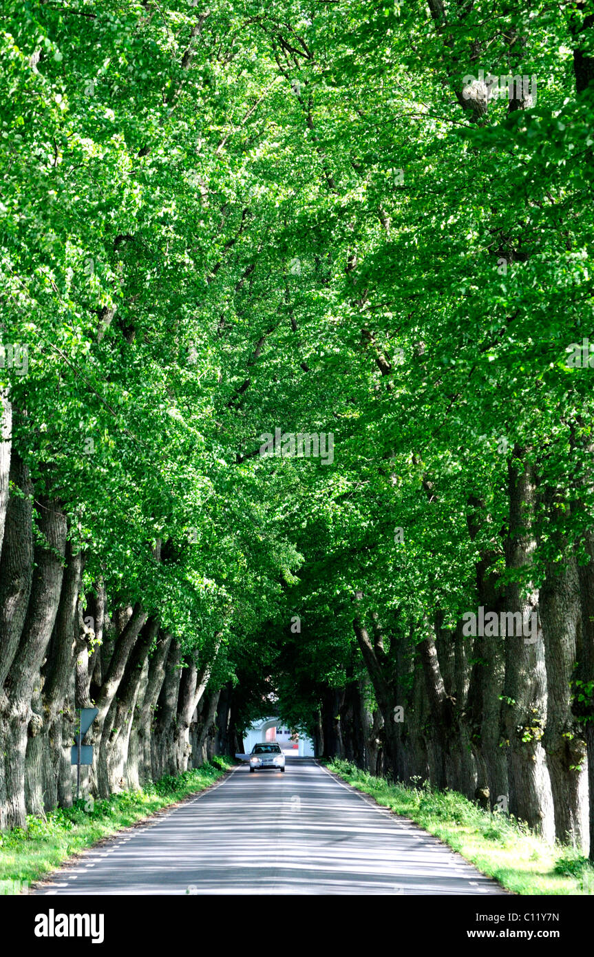 Car tree flower hi-res stock photography and images - Alamy