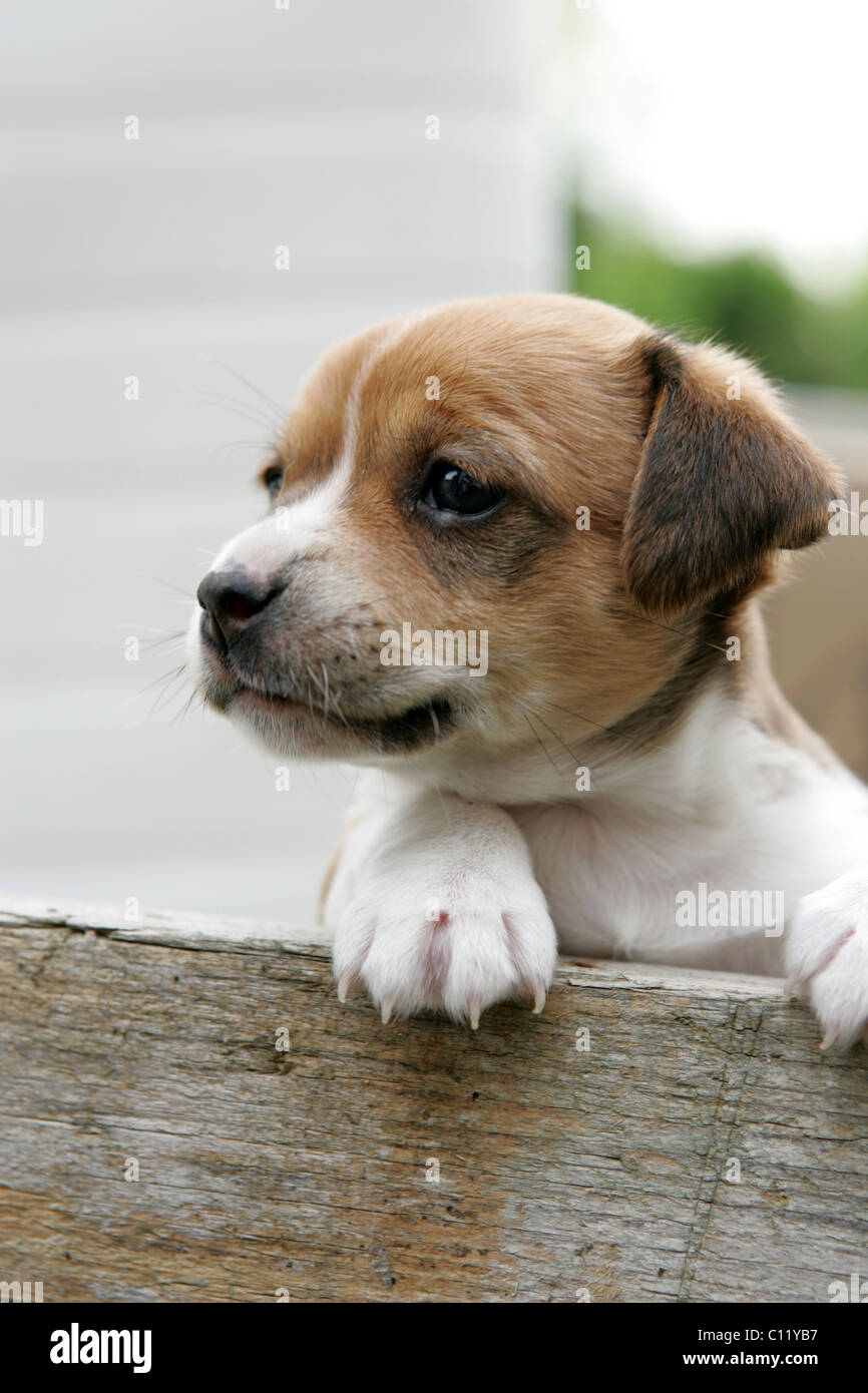 248 021 111 hi-res stock photography and images - Alamy