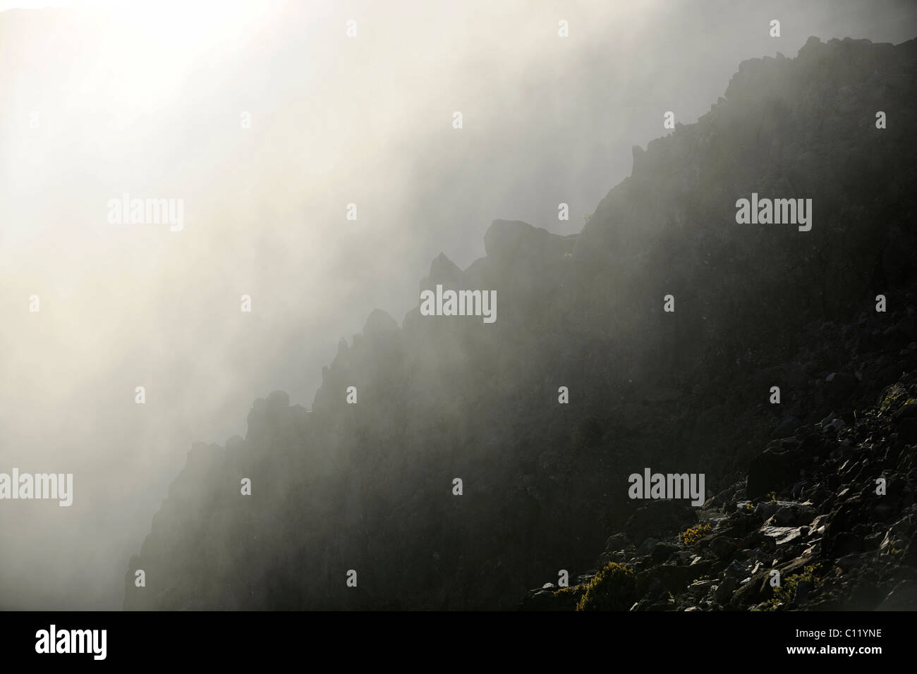 Hawaii mountain fog hi-res stock photography and images - Alamy