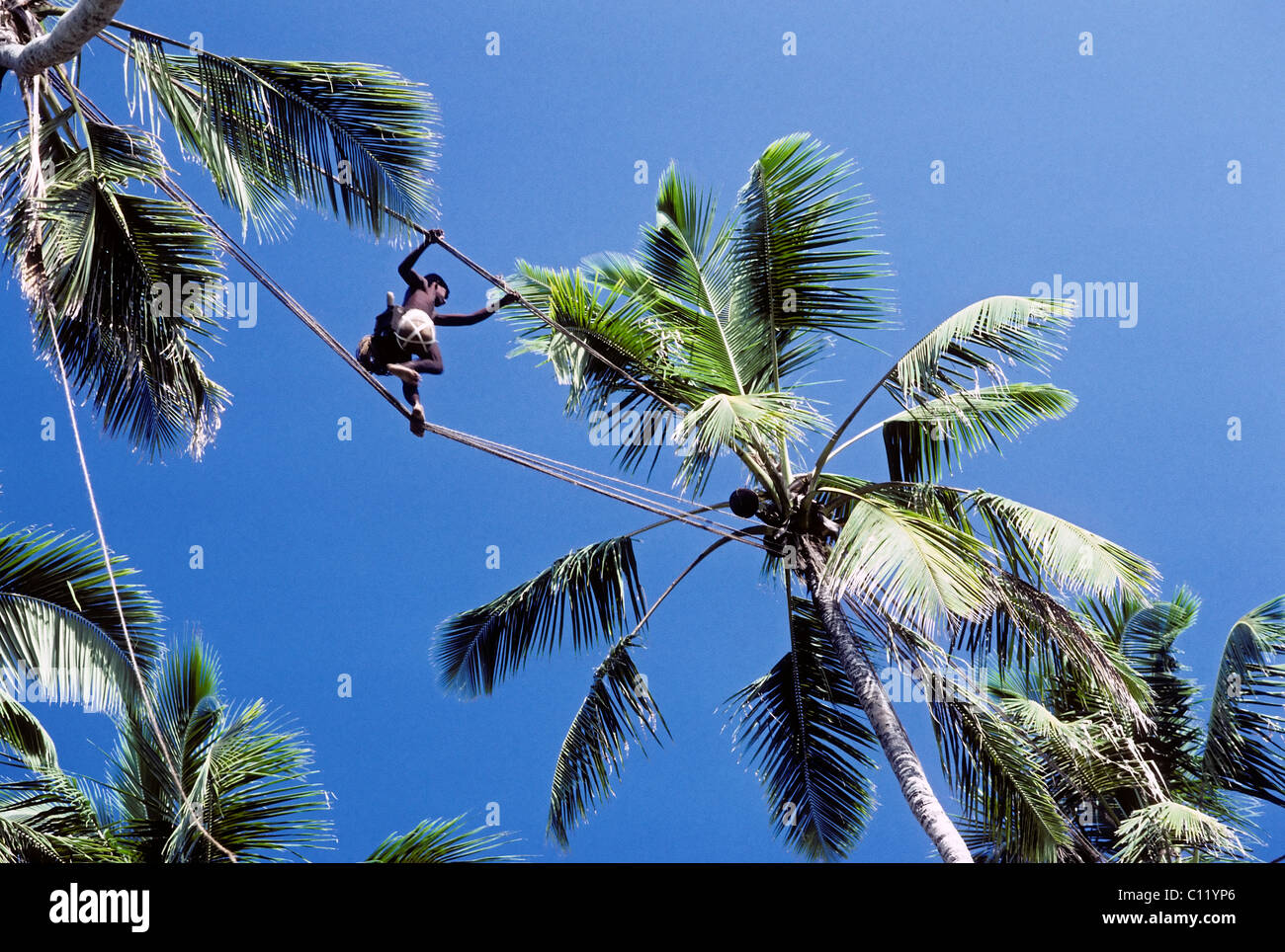 Toddy tapper hi-res stock photography and images - Alamy