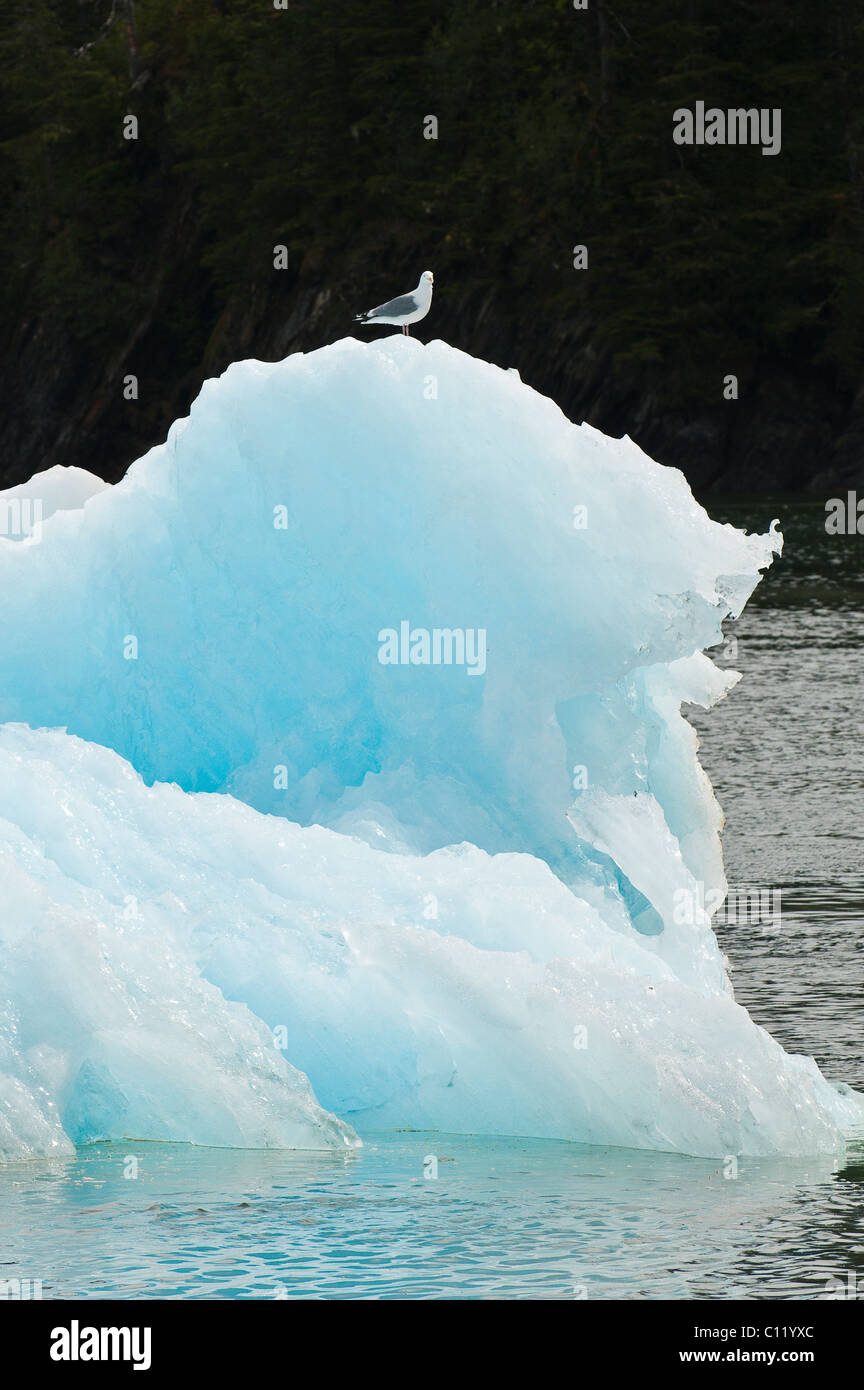 Glacier blue ice iceberg in LeConte Bay, Southeast Alaska Stock Photo ...