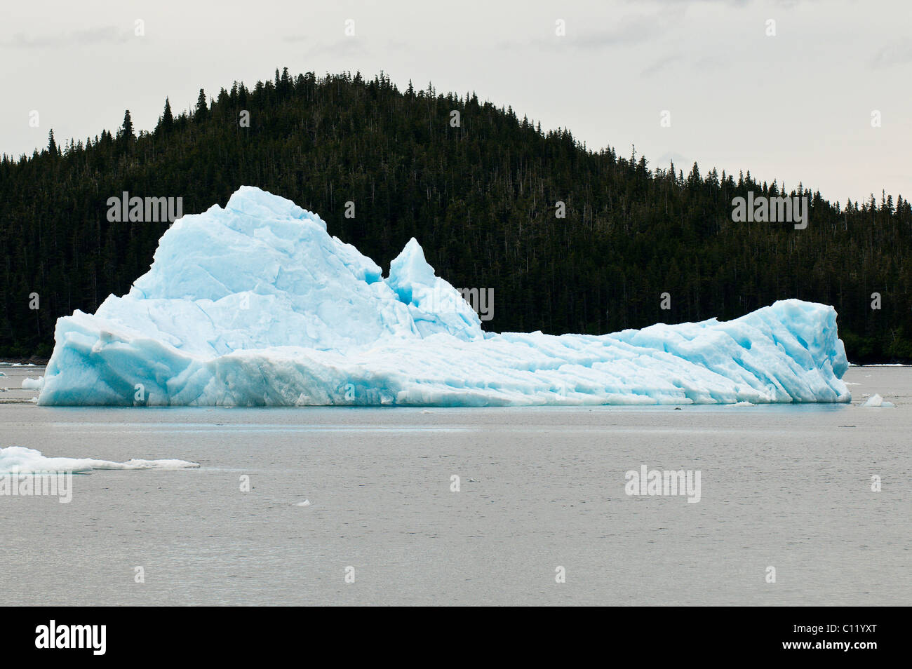 Alaska. Glacier blue ice iceberg in LeConte Bay, Southeast Alaska Stock ...