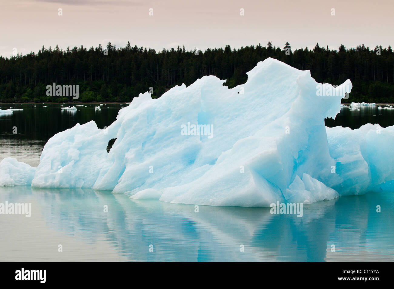 Alaska. Glacier blue ice iceberg in LeConte Bay, Southeast Alaska Stock ...