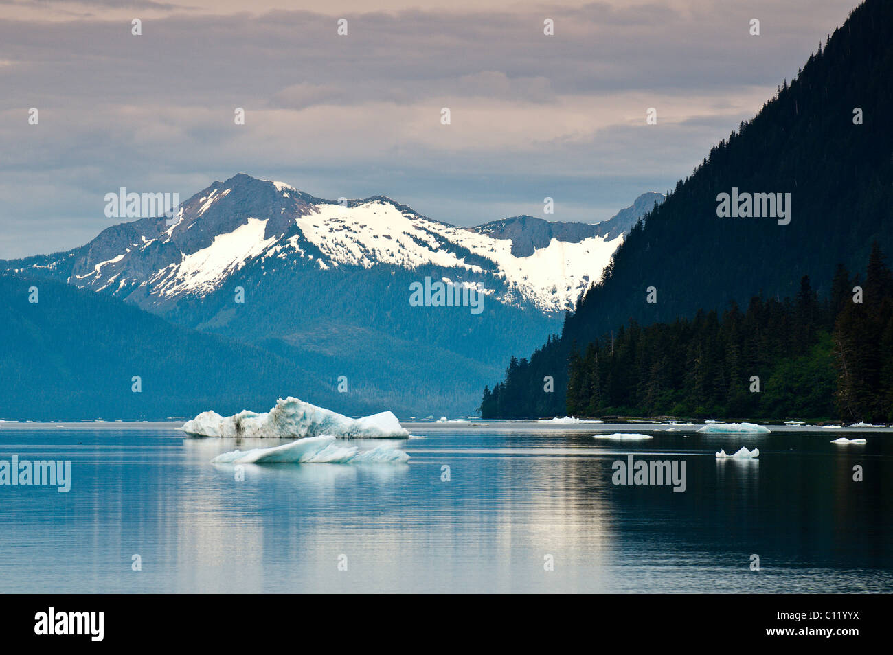 Alaska. Glacier blue ice iceberg in LeConte Bay, Southeast Alaska Stock ...