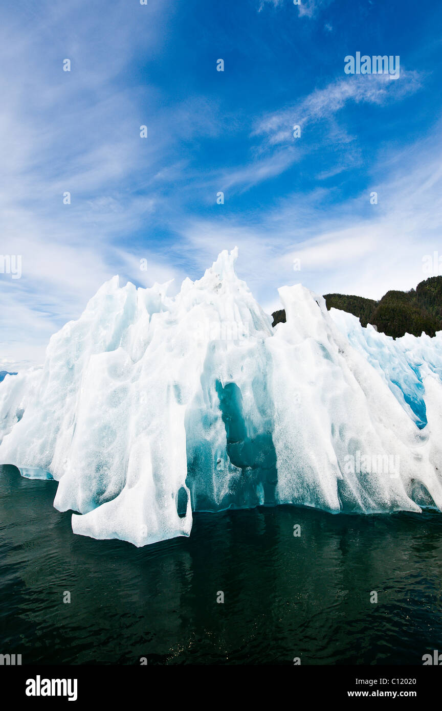 Alaska. Glacier blue ice iceberg in LeConte Bay, Southeast Alaska Stock ...