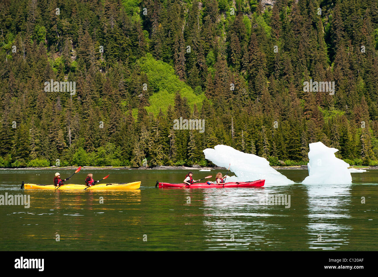 Alaska. Kayaking around icebergs in LeConte Bay, Southeast Alaska. (MRs ...