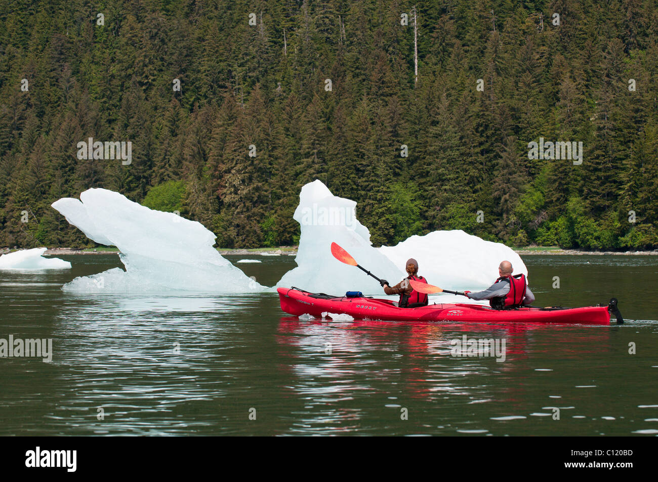 Alaska. Kayaking around icebergs in LeConte Bay, Southeast Alaska. (MRs ...