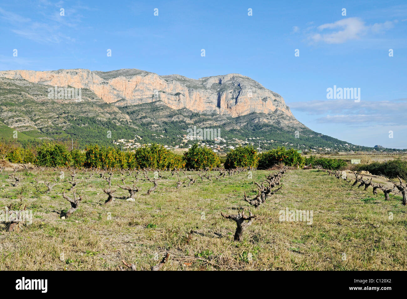 Fields, vineyards, agriculture, Mt. Montgo, nature reserve, Javea ...
