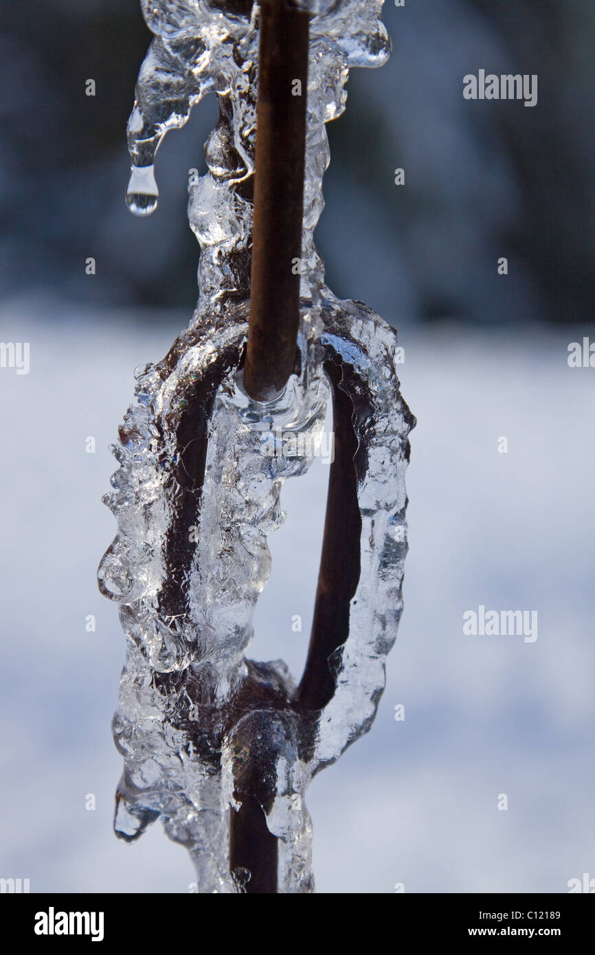 Frozen Chain High Resolution Stock Photography and Images - Alamy