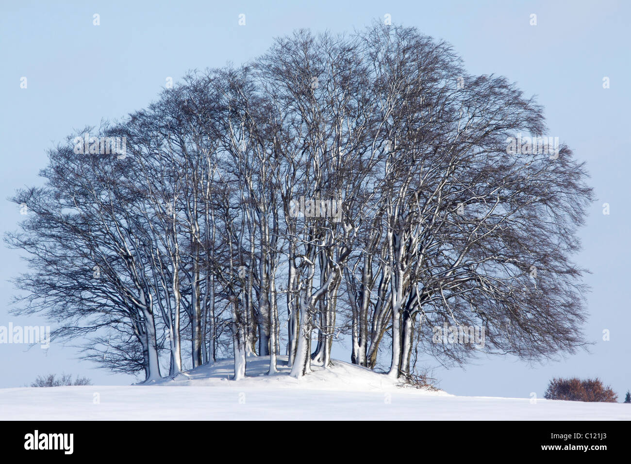 From the neolithic age hi-res stock photography and images - Alamy