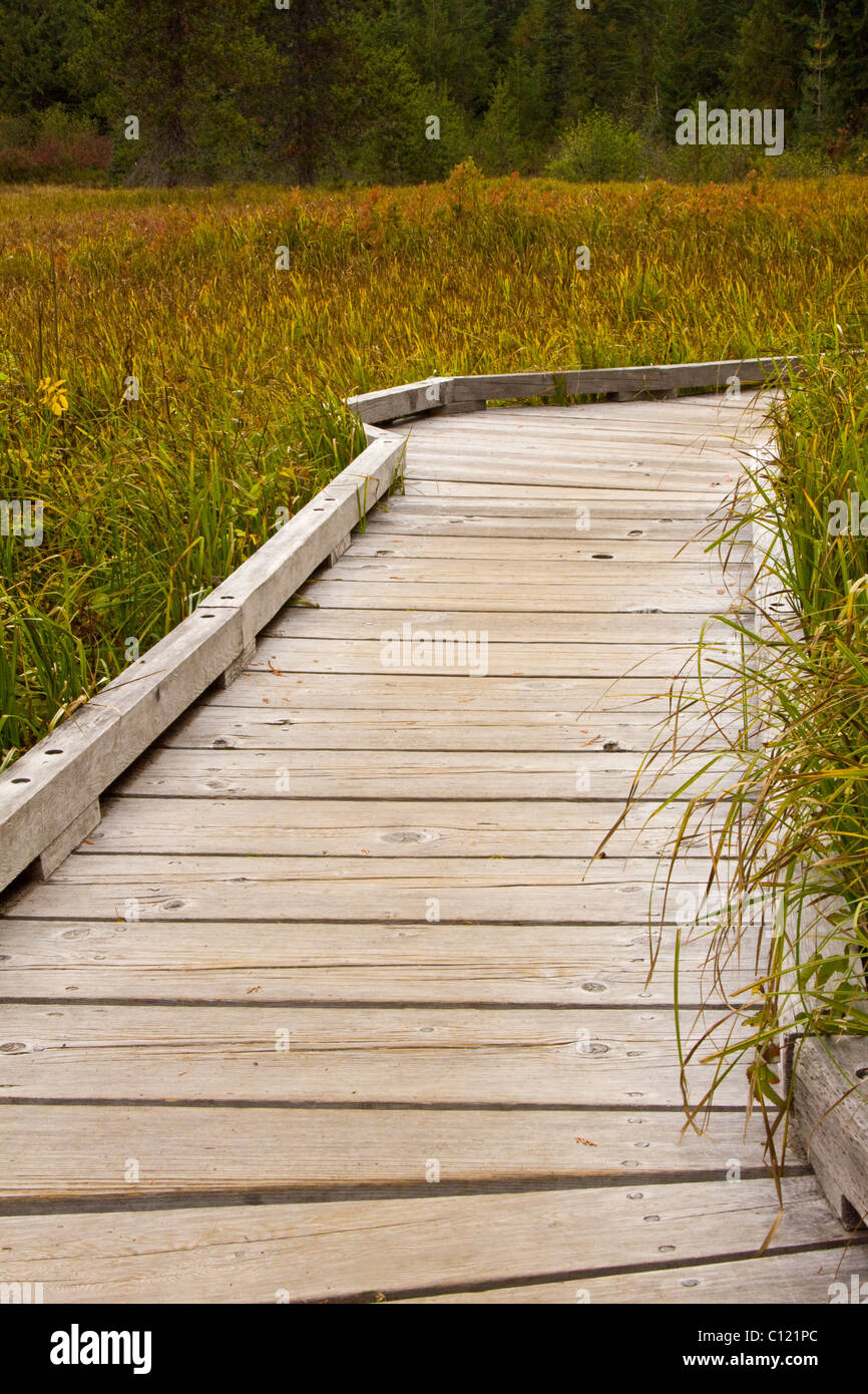 Boardwalk Through Tall Grass Stock Photo - Alamy