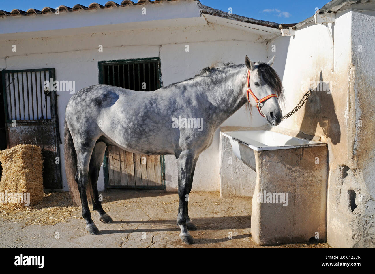 Stables wildlife hi-res stock photography and images - Alamy