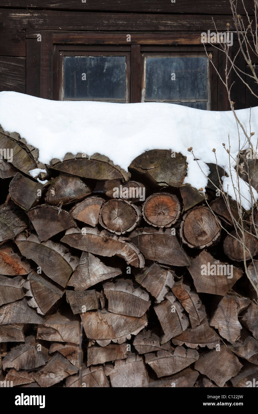 Stack of firewood in front of a hut in the Spreewald forest ...