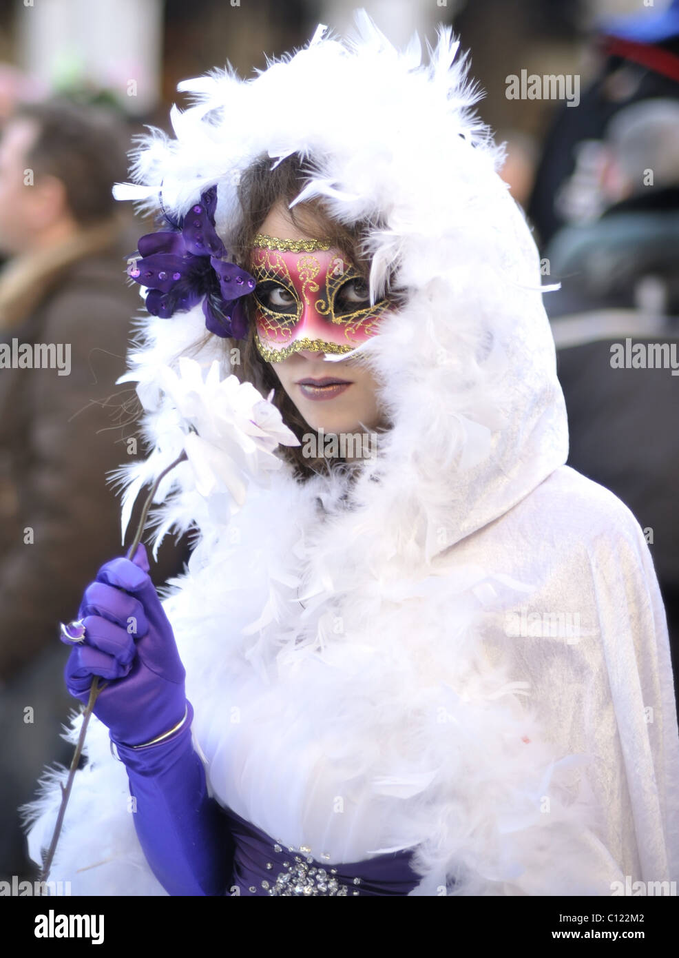 A woman wearing carnival costumes poses in St Mark Square Stock Photo ...