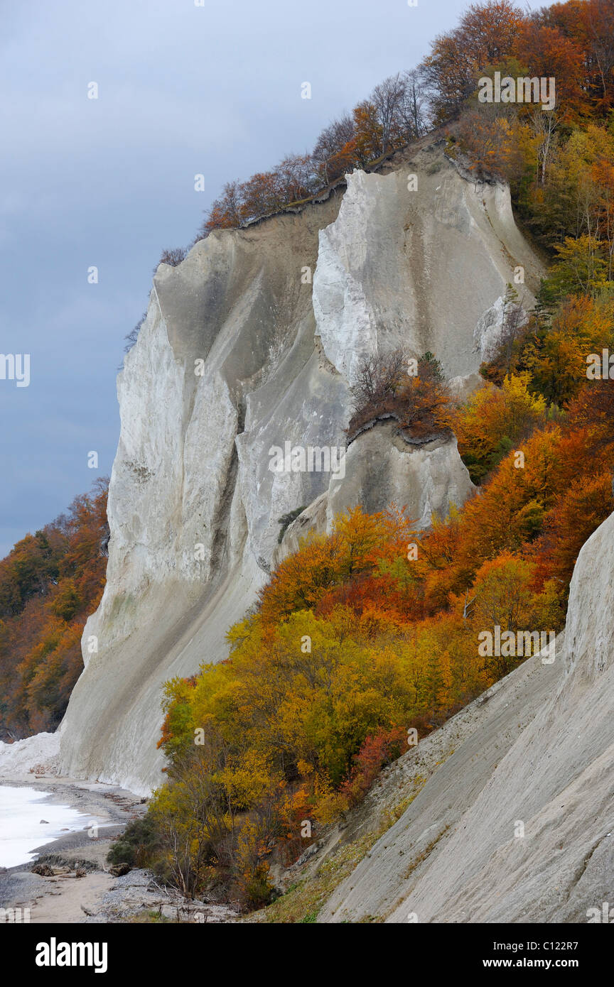 Botany cliffs hi-res stock photography and images - Alamy