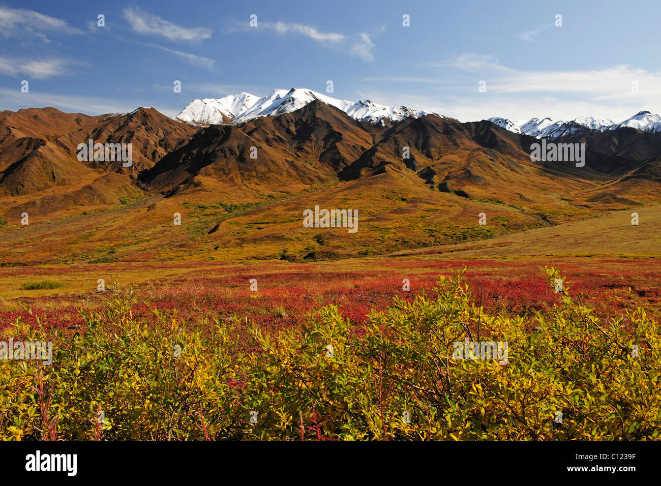 Tundra landscape alaska hi-res stock photography and images - Alamy