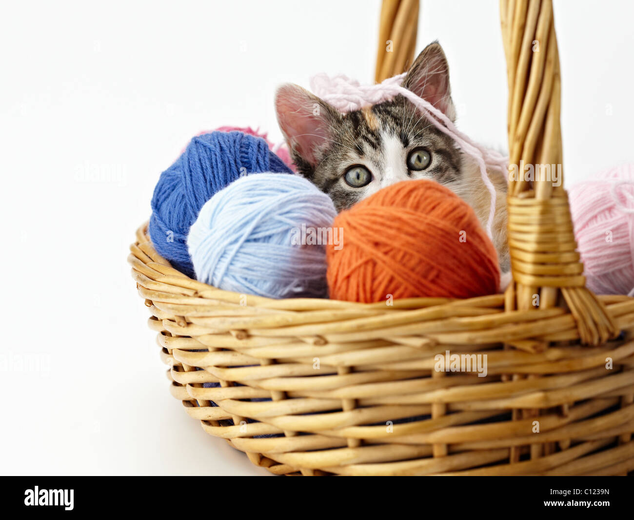 Kitten play yarn ball hi-res stock photography and images - Alamy