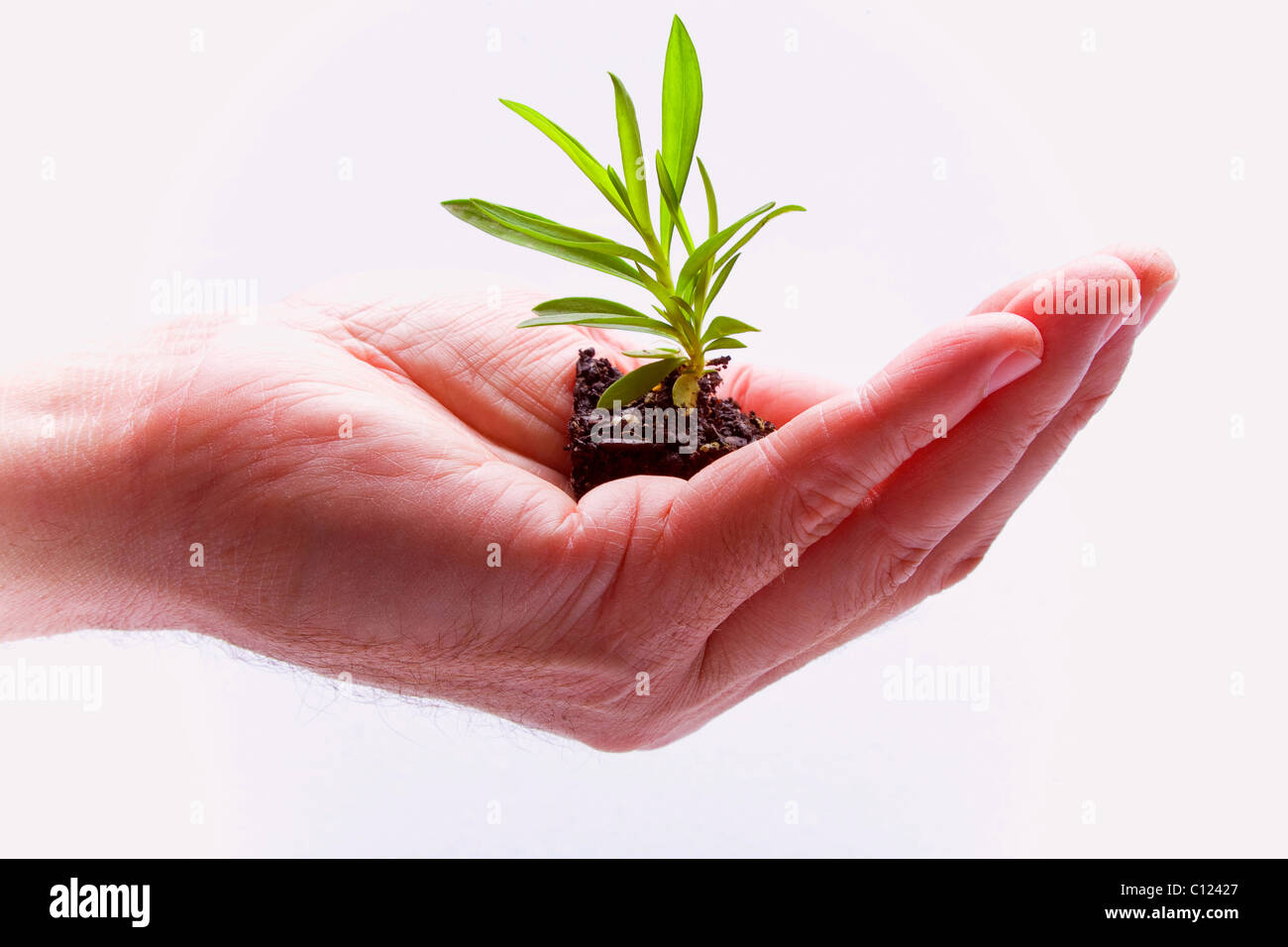 Nurtured if hi-res stock photography and images - Alamy