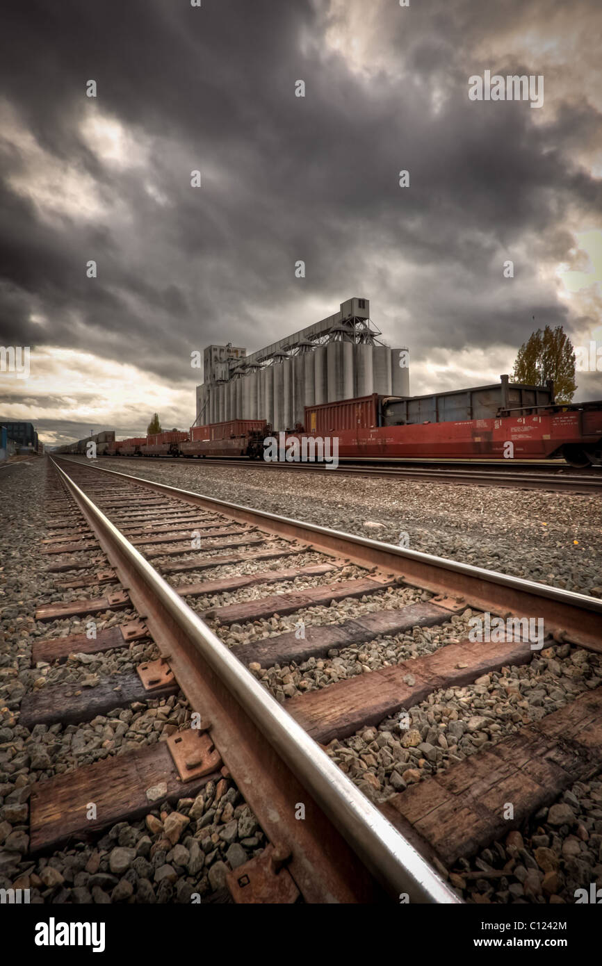 Train tracks and rail cars at the Seattle Grain Terminal Stock Photo ...