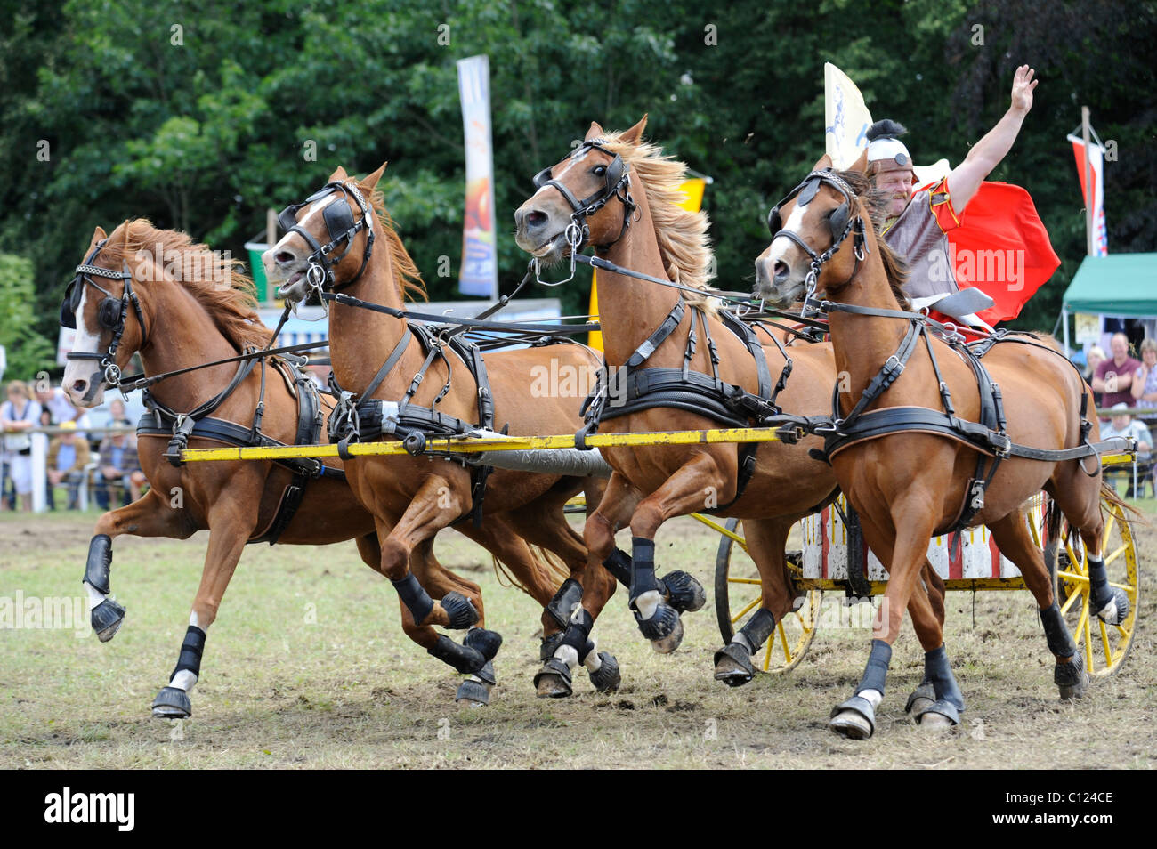 Roman wagon, chariot race, Ulli Schubert, Wenigenauma Ponyshow ...