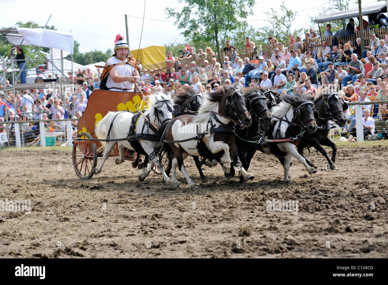 Roman wagon, chariot race, Wenigenauma Ponyshow, Thuringia, Germany ...