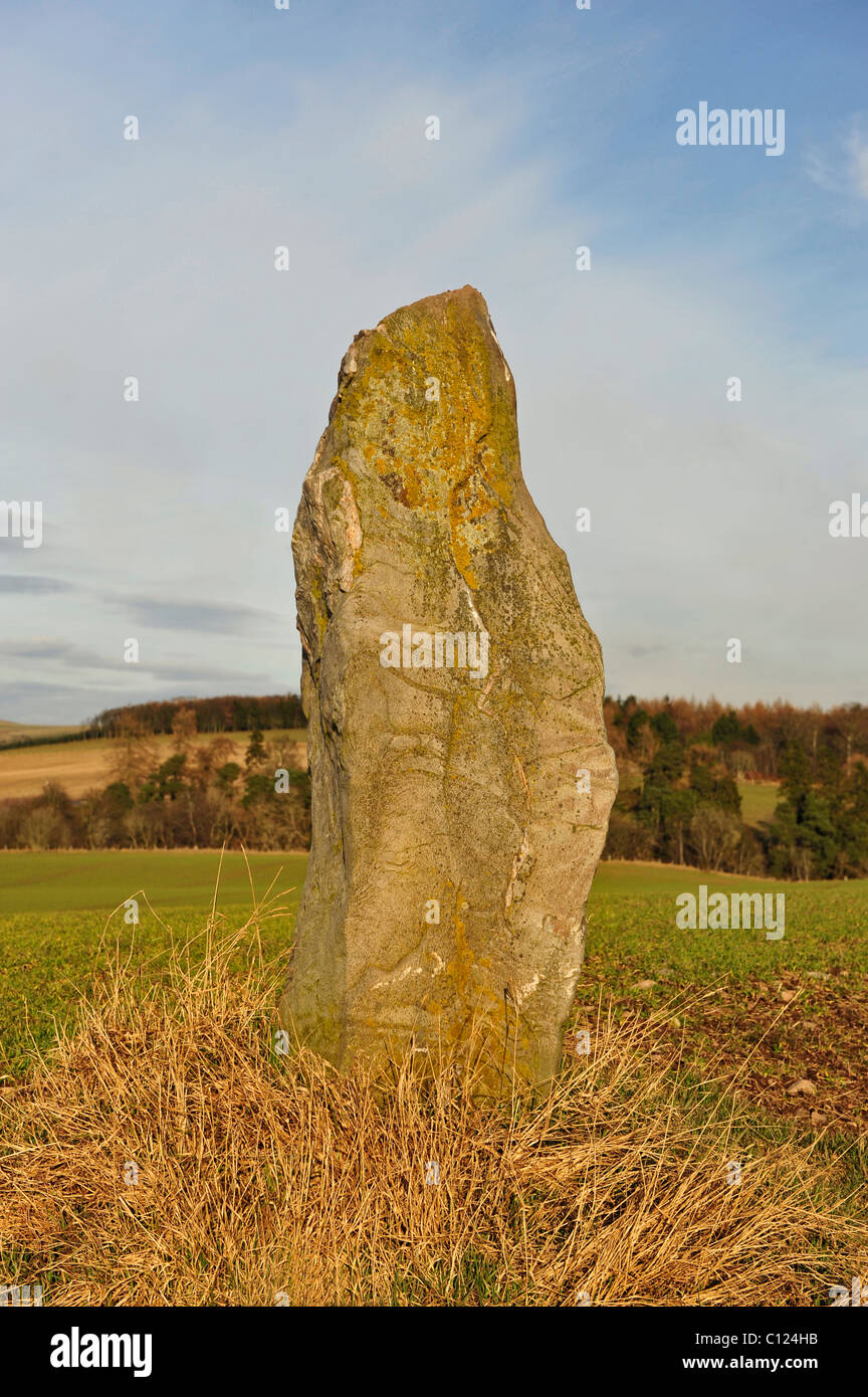 Standing Stone near Noranside, Forfar. Local tradition says that the ...