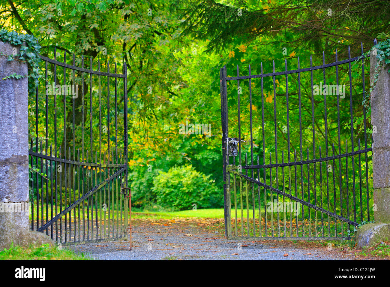 Wrought-iron entrance gate to an old cemetery Stock Photo - Alamy