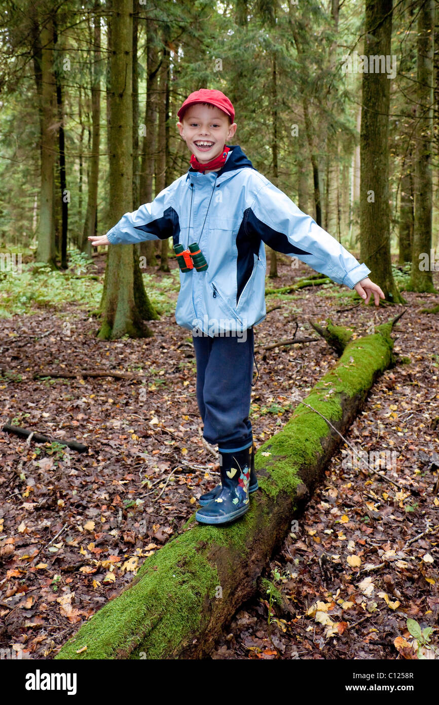 Boy, 7 years old, balancing on a tree trunk in a forest, autumn Stock ...