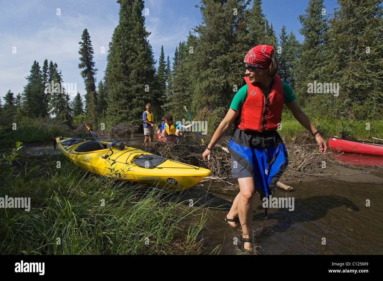 Young woman lining, portaging, dragging kayak over Beaver dam, walking ...