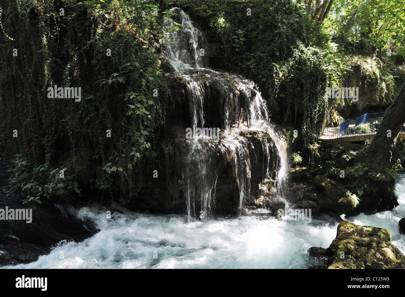 Wild waterfall and river in the green forest Stock Photo - Alamy