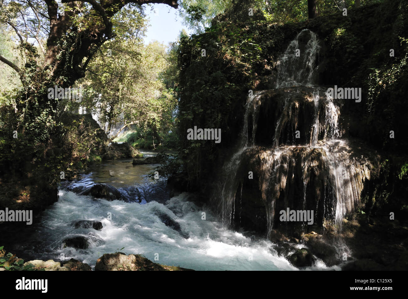 Wild waterfall and river in the green forest Stock Photo - Alamy