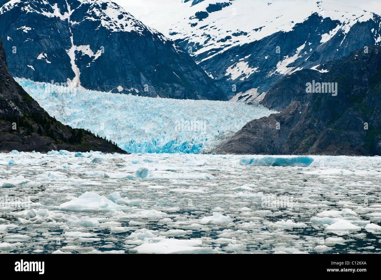 Alaska. Blue ice of LeConte Glacier in LeConte Bay, Southeast Alaska ...