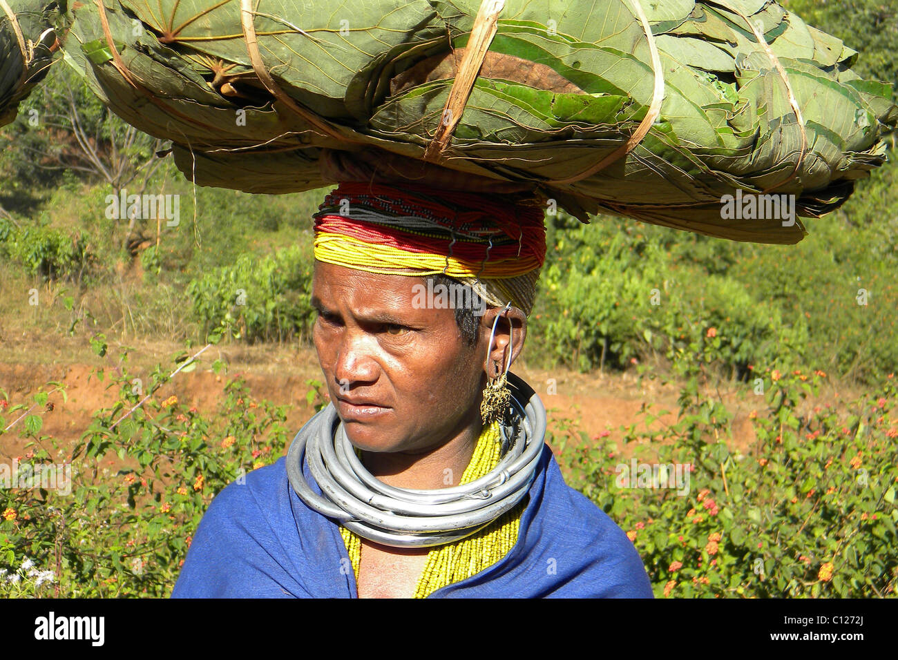 Bonda tribe, Onkudelli, Orissa, India Stock Photo - Alamy