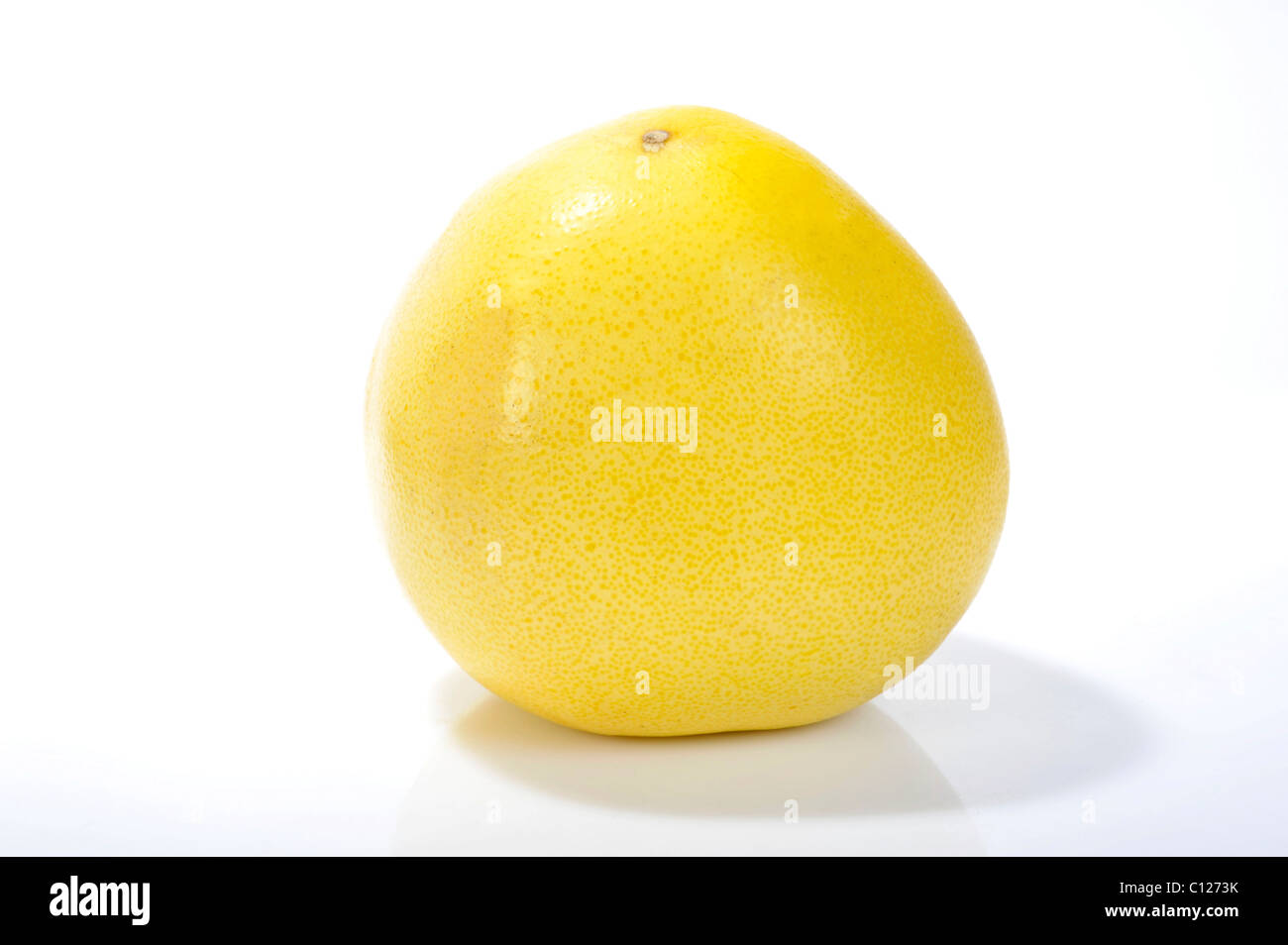Pomelo, crossing of a Grapefruit (Citrus paradisi) and Jabong (Citrus ...