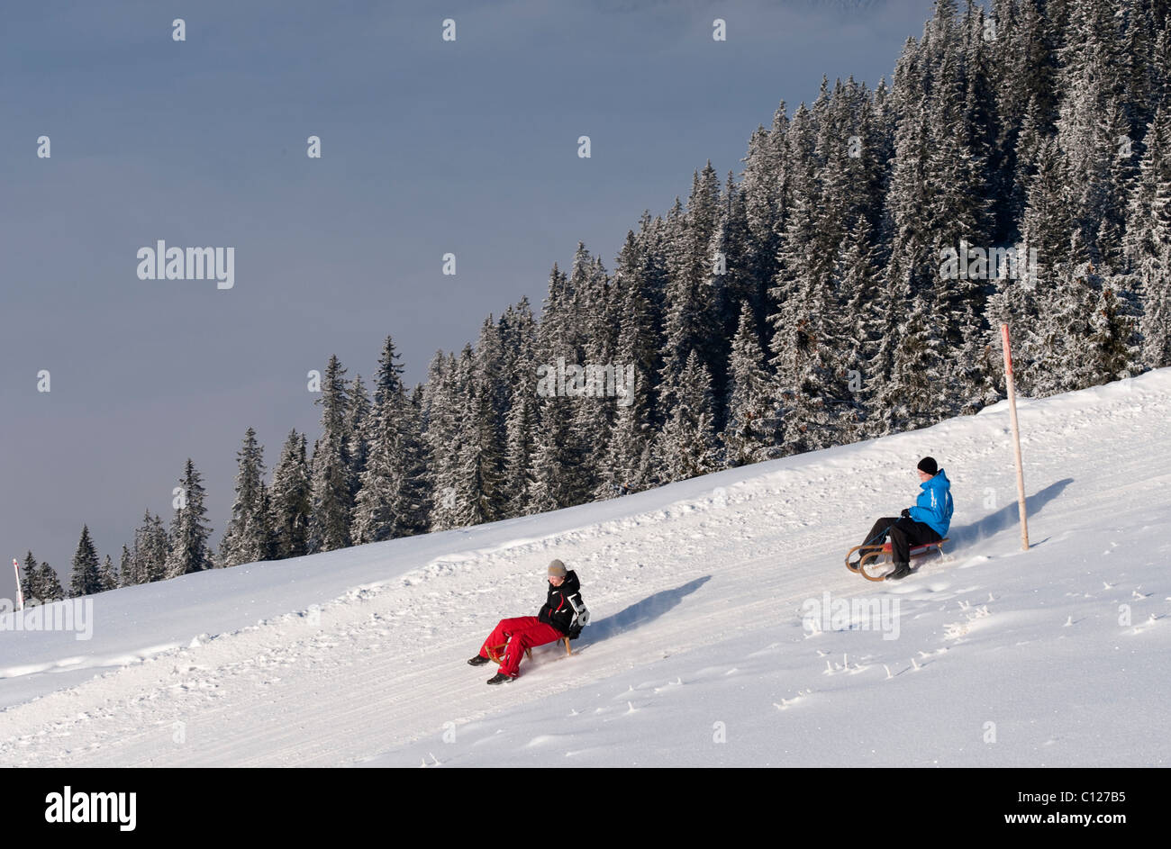 Sledding, Bavarian Alps from Mt Wallenberg, winter, Upper Bavaria ...