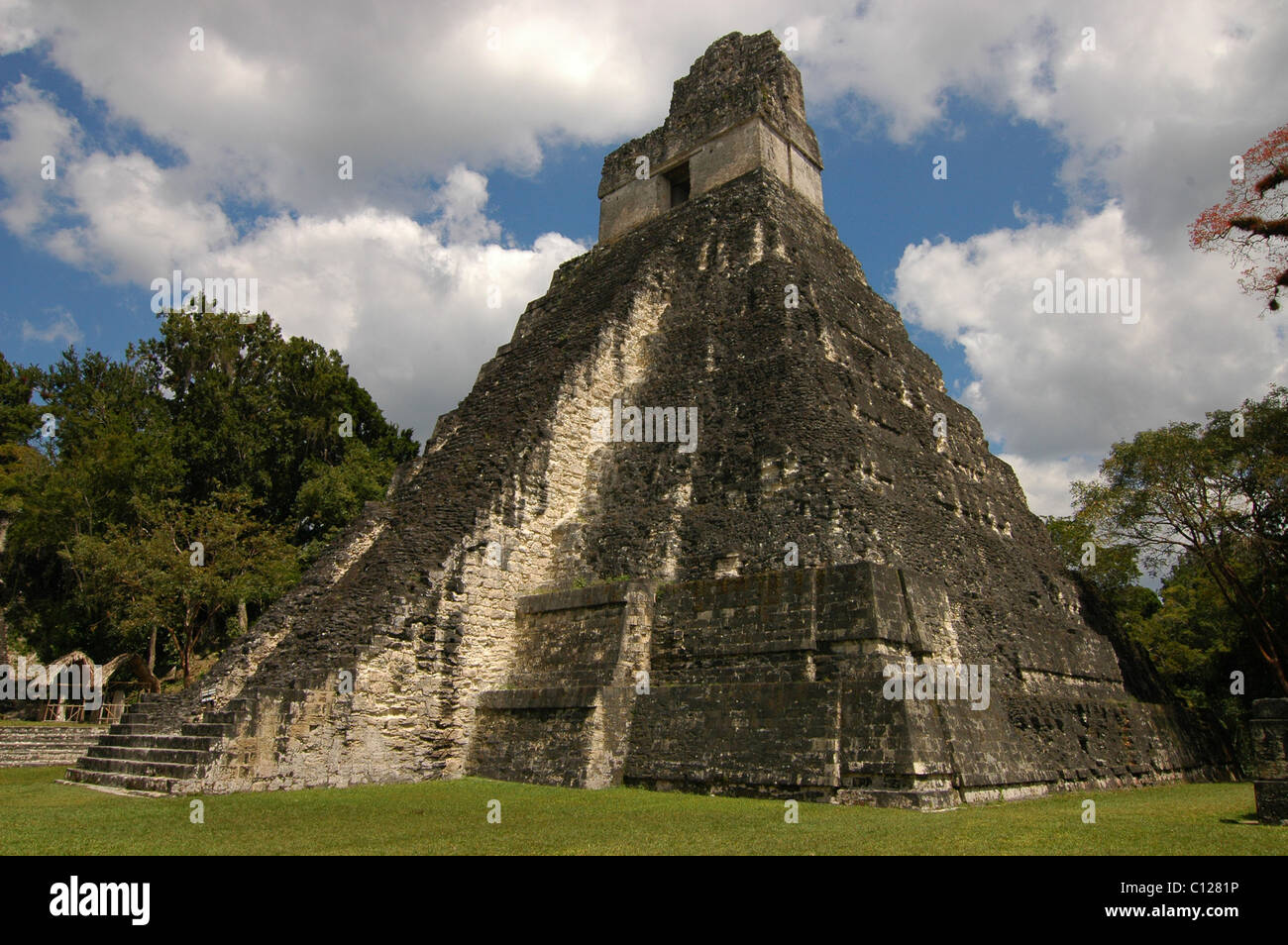 Main pyramid at Tikal Stock Photo - Alamy
