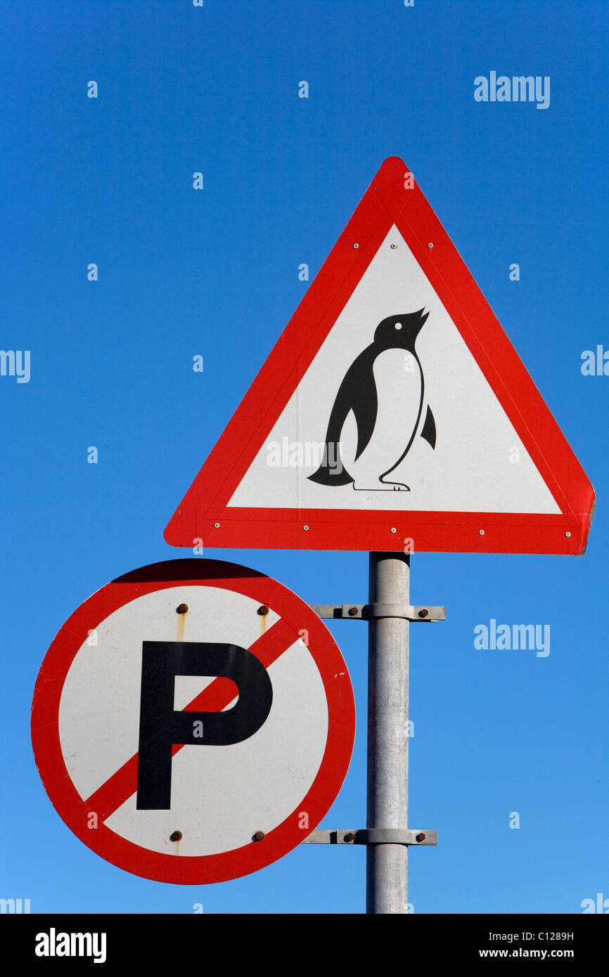 Traffic sign, caution, penguins crossing, Simon's Town, South Africa ...