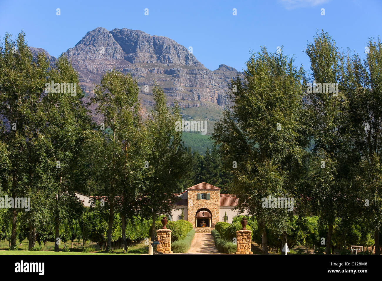 Waterford estate south africa hi-res stock photography and images - Alamy