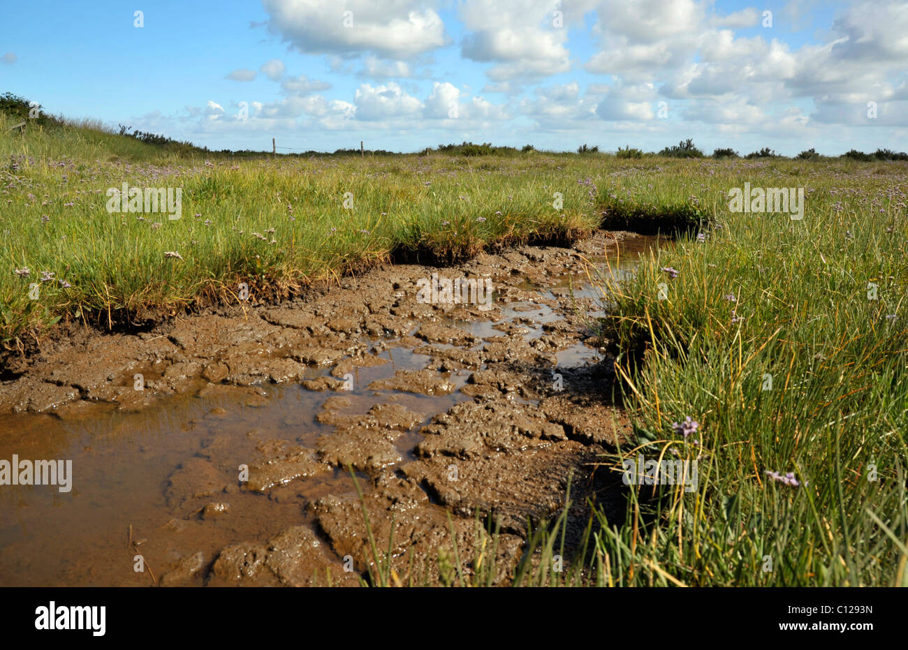 On the North Norfolk coastline, Stiffkey marshes near Wells Next the ...
