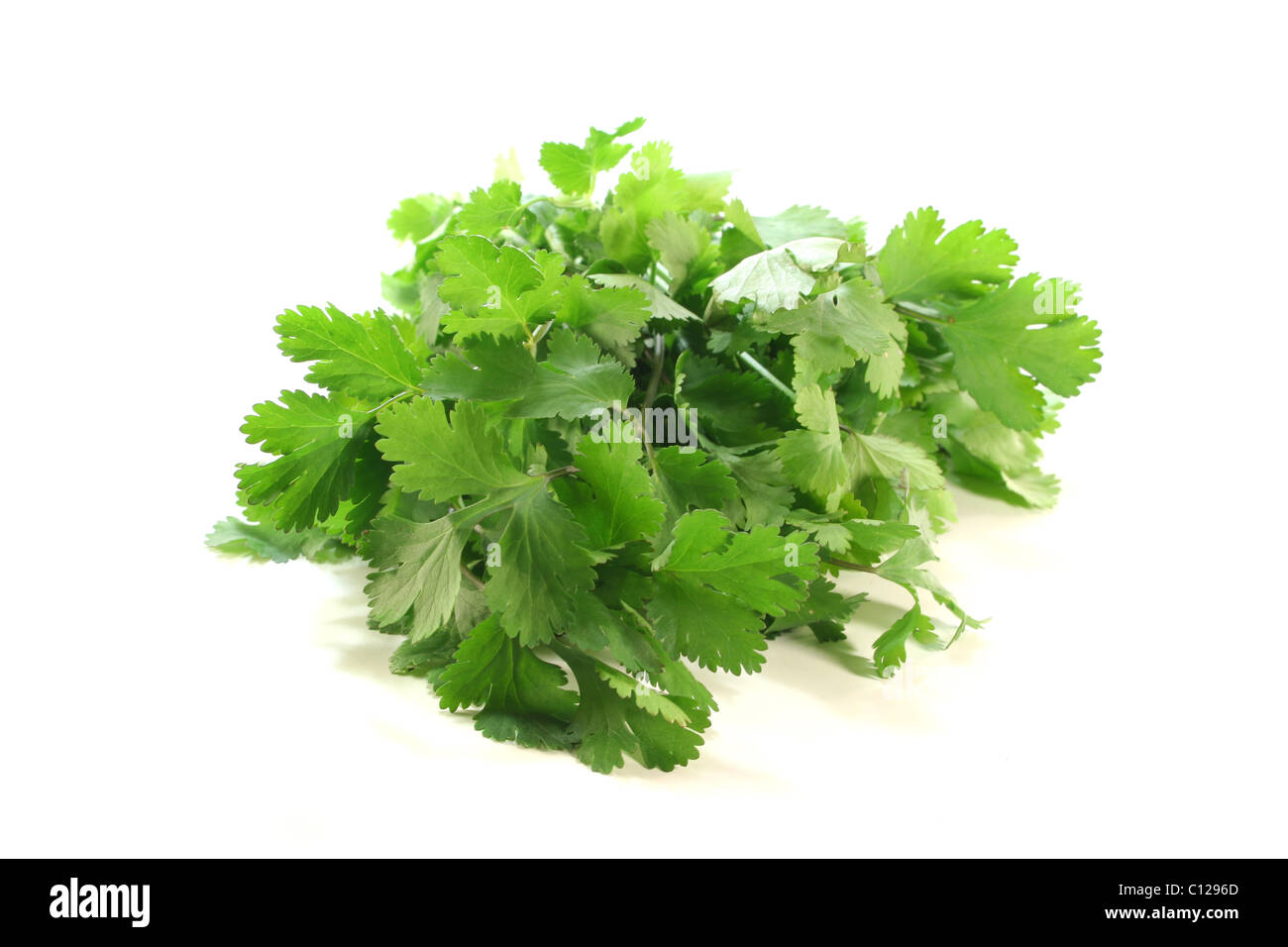 a bunch of fresh Coriander on a white background Stock Photo - Alamy