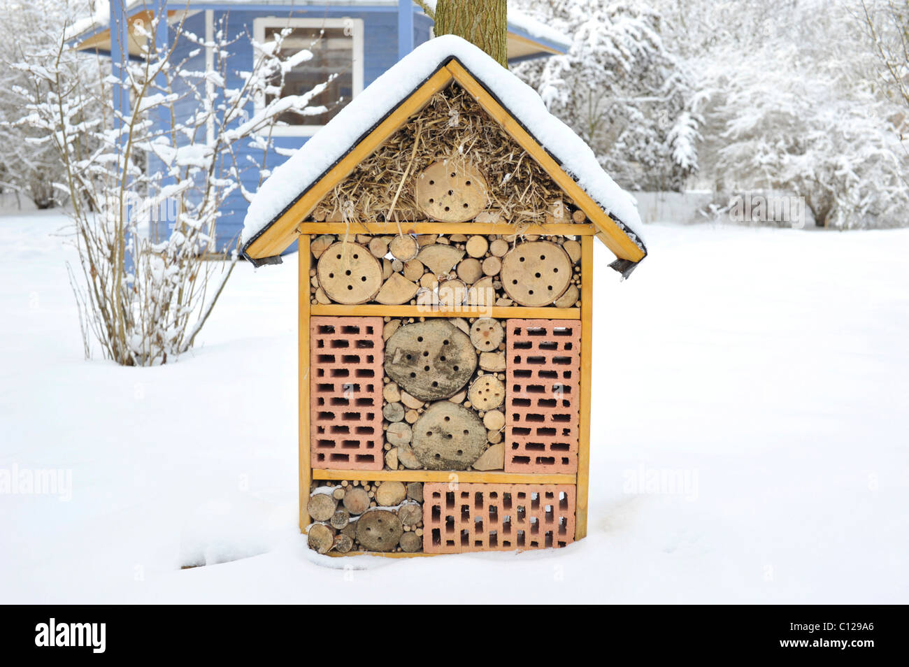 Snow-covered insect nesting box in the garden Stock Photo - Alamy