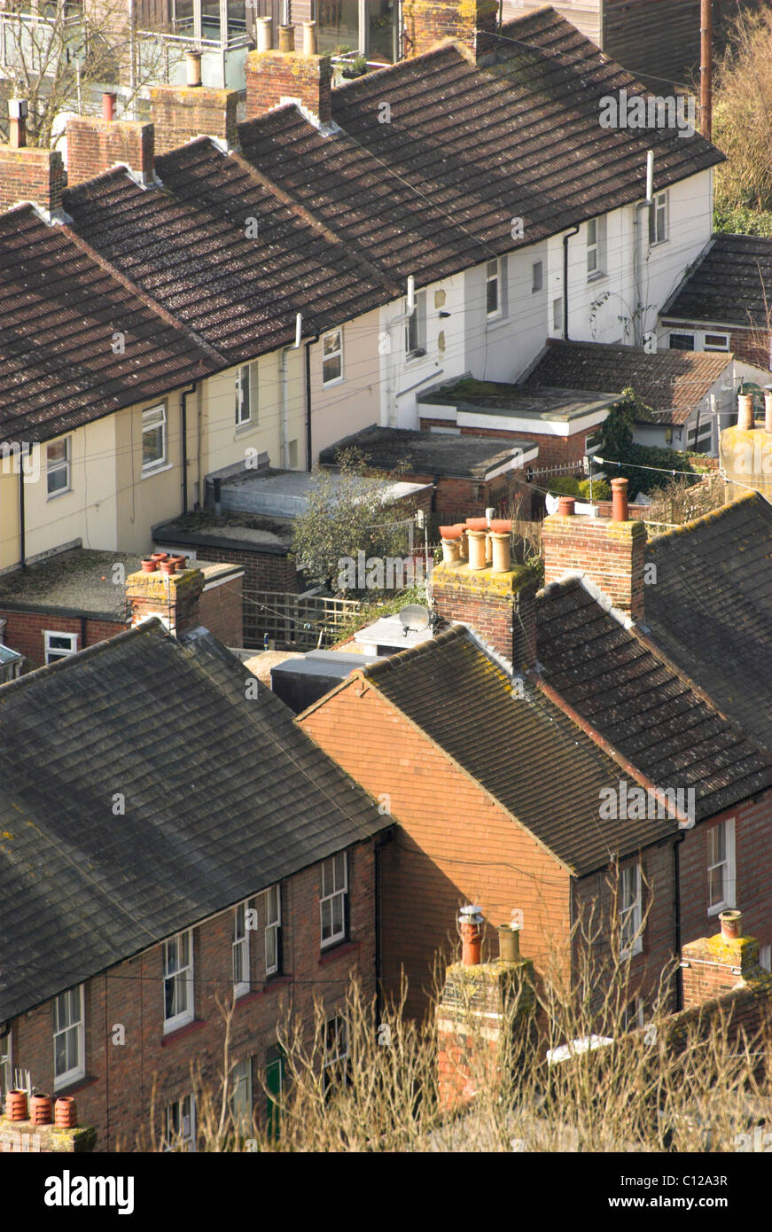Urban housing and back gardens - pictured here in Lewes, East Sussex ...
