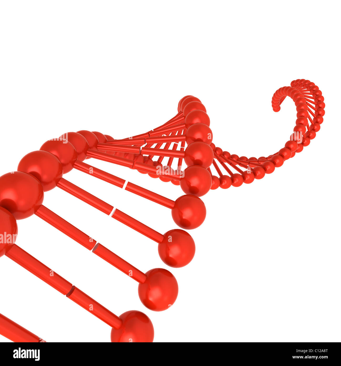 3D DNA molecule model on white Stock Photo - Alamy