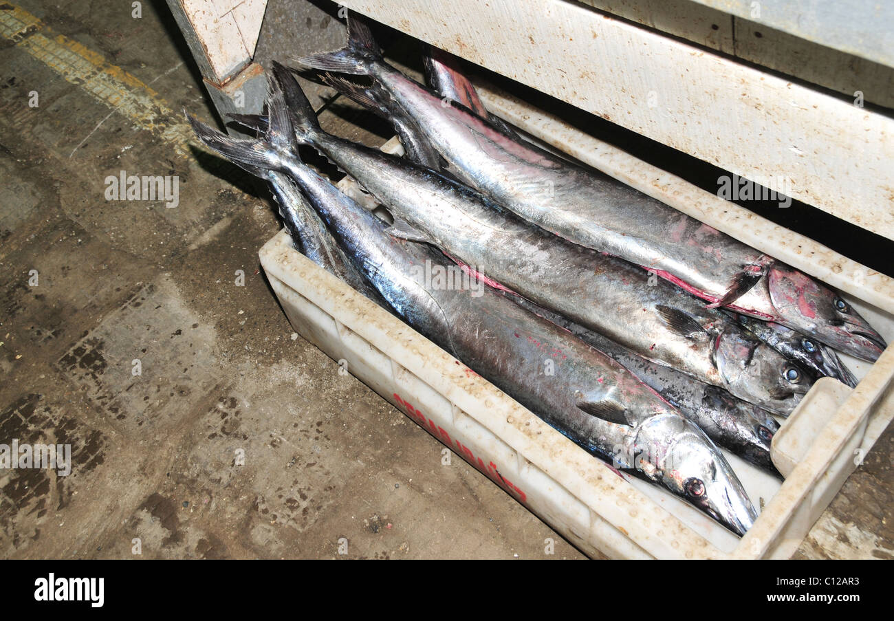 Floor 1 grey concrete hi-res stock photography and images - Alamy