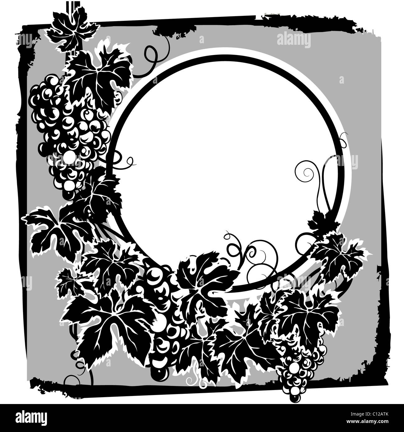 Vine red leaves Black and White Stock Photos & Images - Alamy