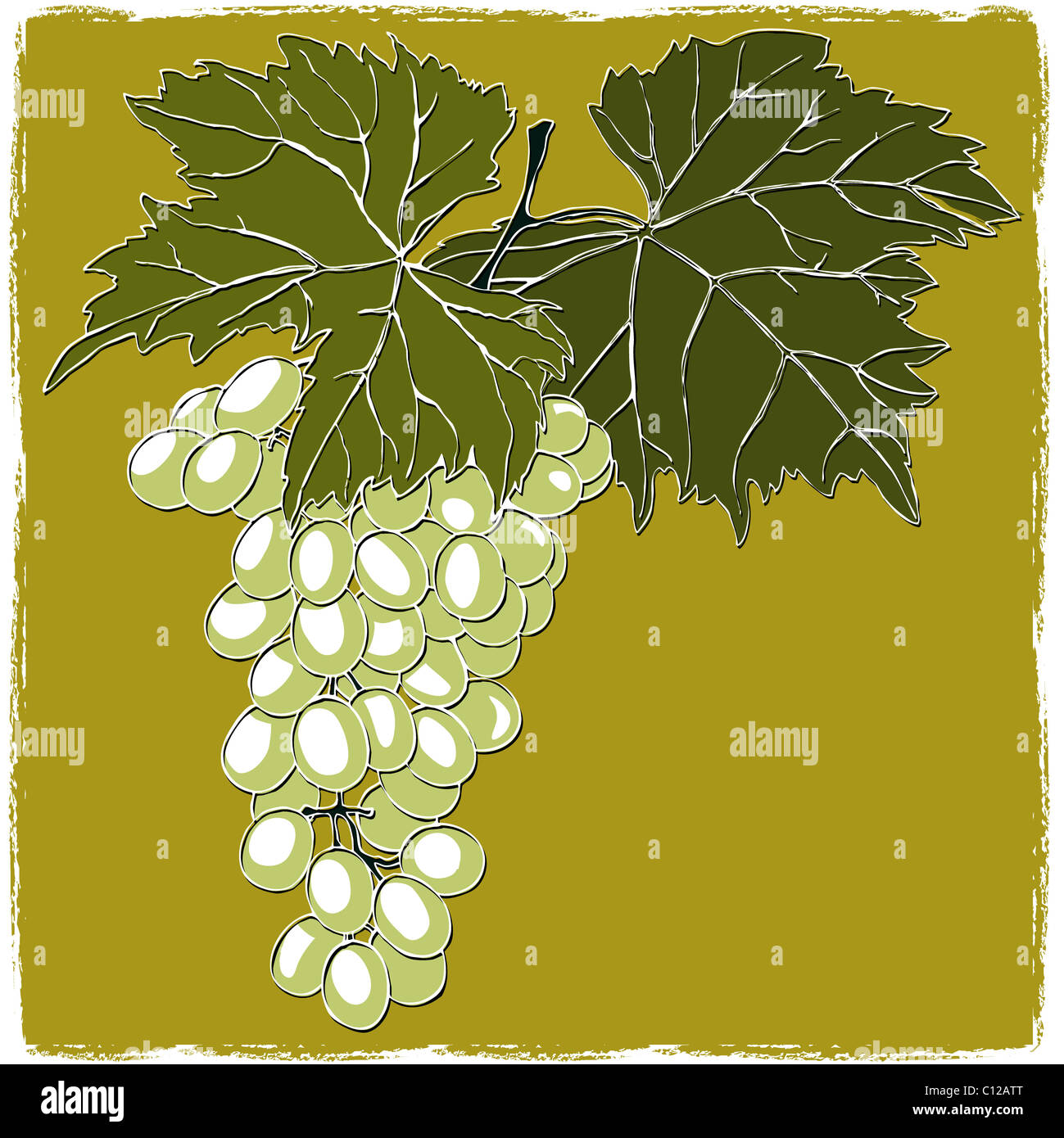 Grapes With Leaves Stock Photo - Alamy