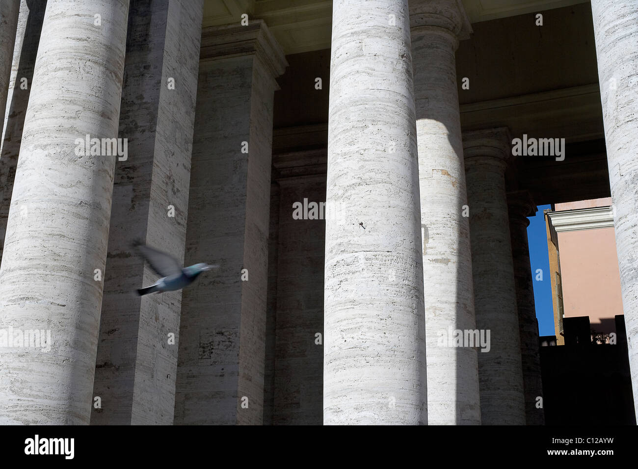 Rome. Pillars. Bird Stock Photo - Alamy