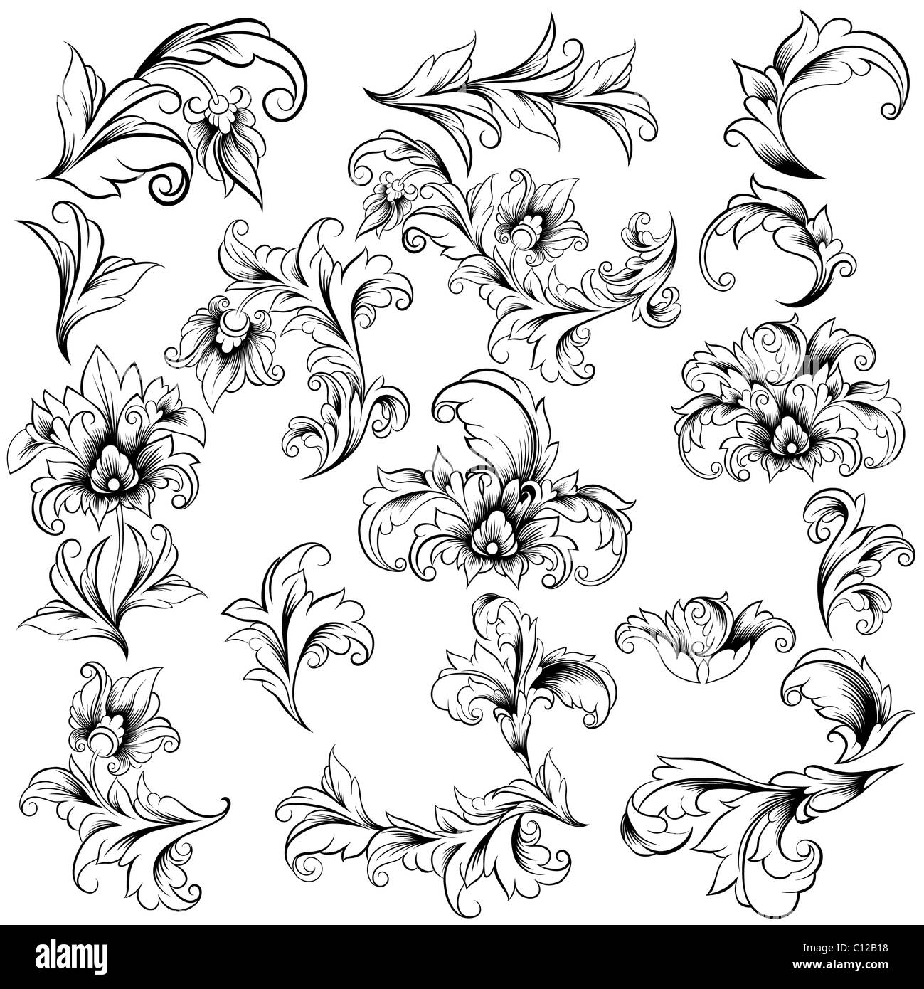 Collection of Classical Decorative Floral Design Elements on white ...